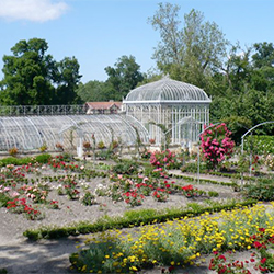 Serres - Default entity